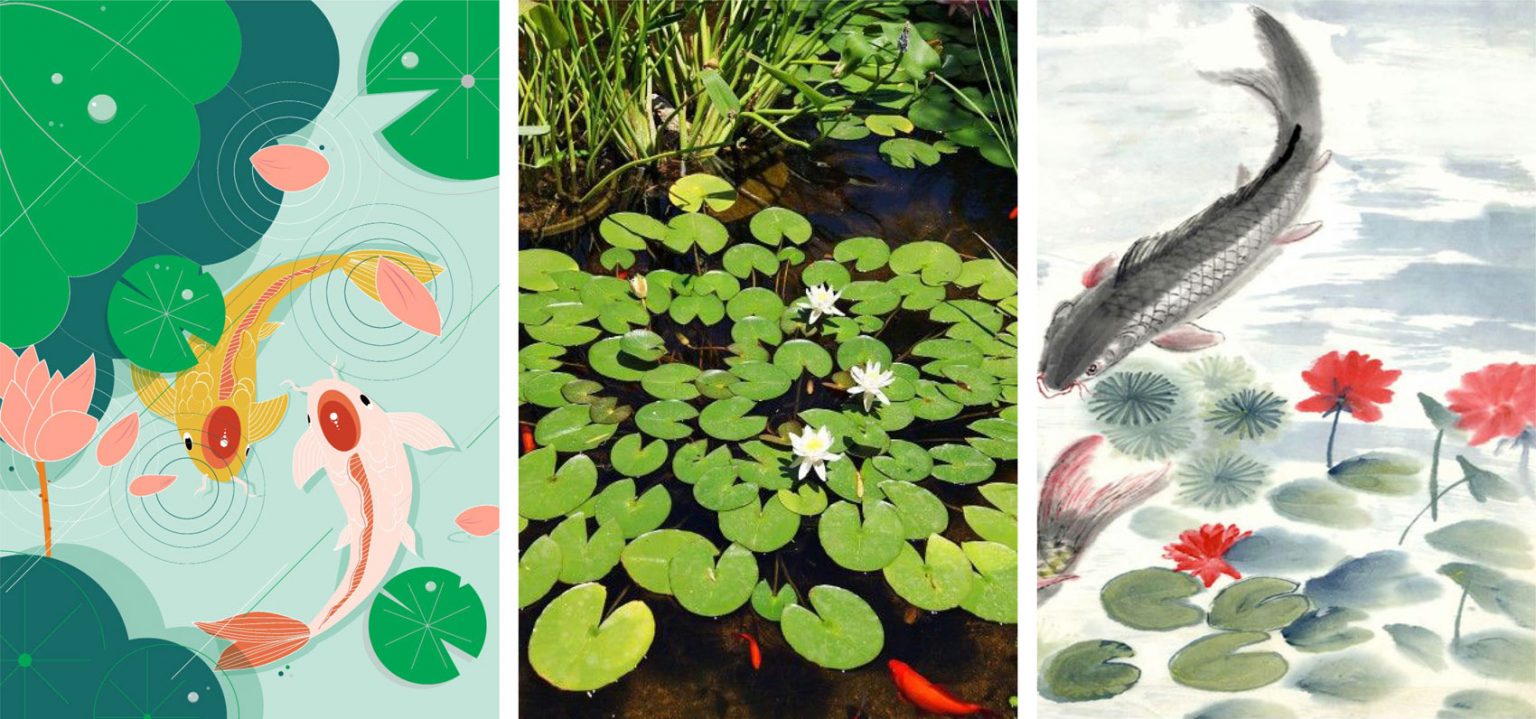 LOTUS POND - 100architects